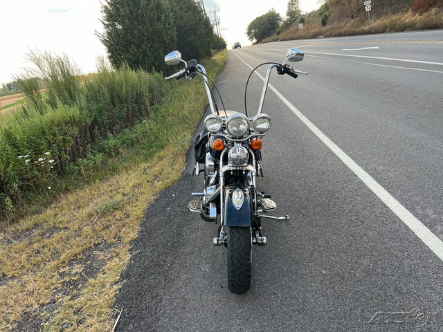 1998 Harley-Davidson® FXSTS Springer® Softail® for Sale in Zieglerville ...