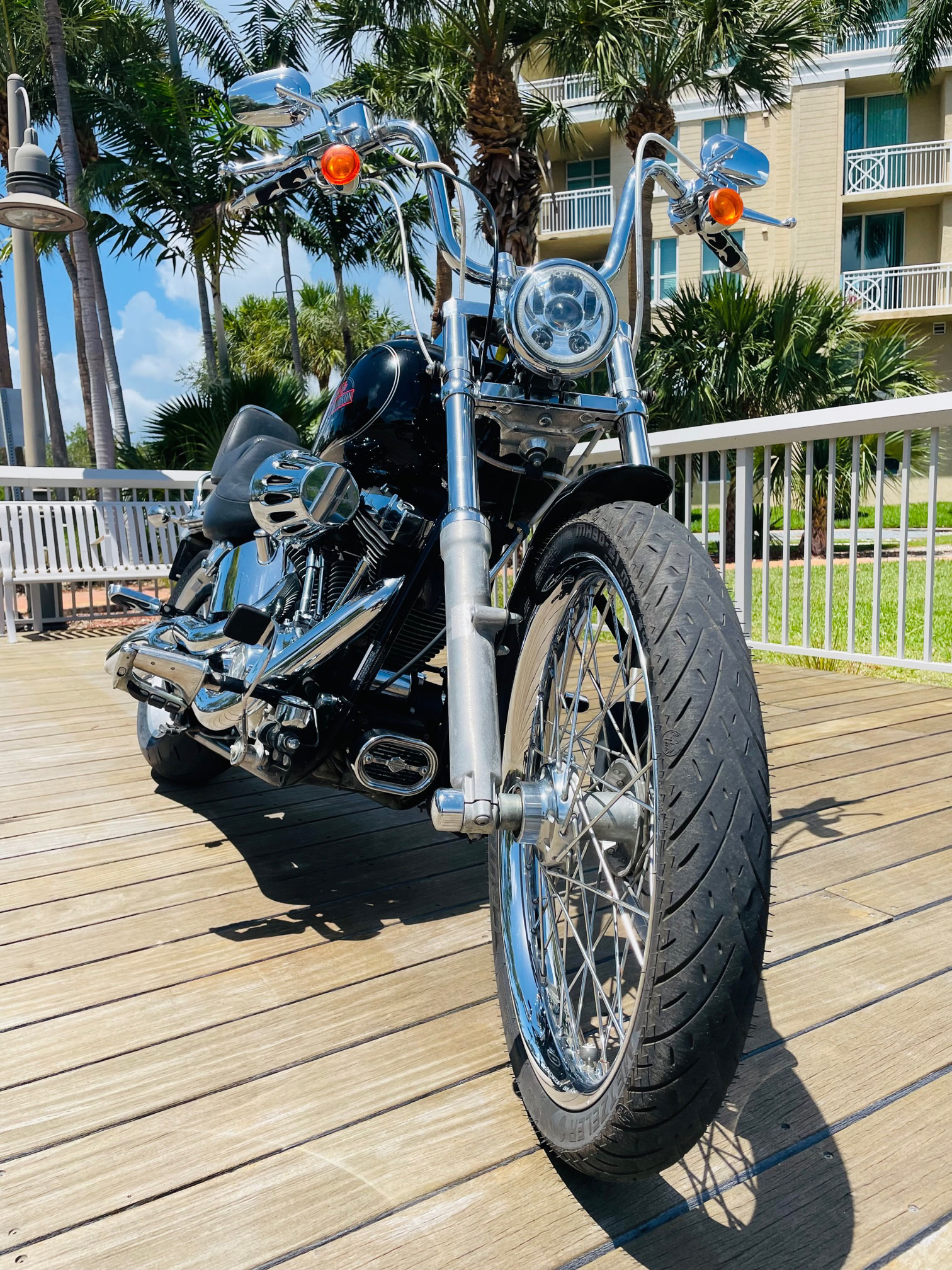 2008 Harley-Davidson® FXSTC Softail® Custom for Sale in Boynton Beach ...
