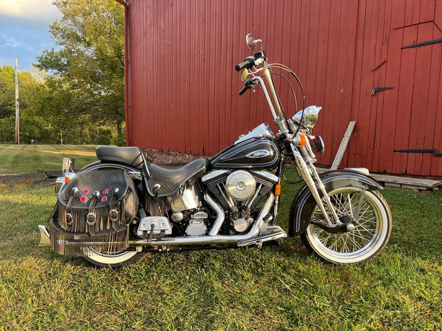1998 Harley-Davidson® FXSTS Springer® Softail® for Sale in Zieglerville ...