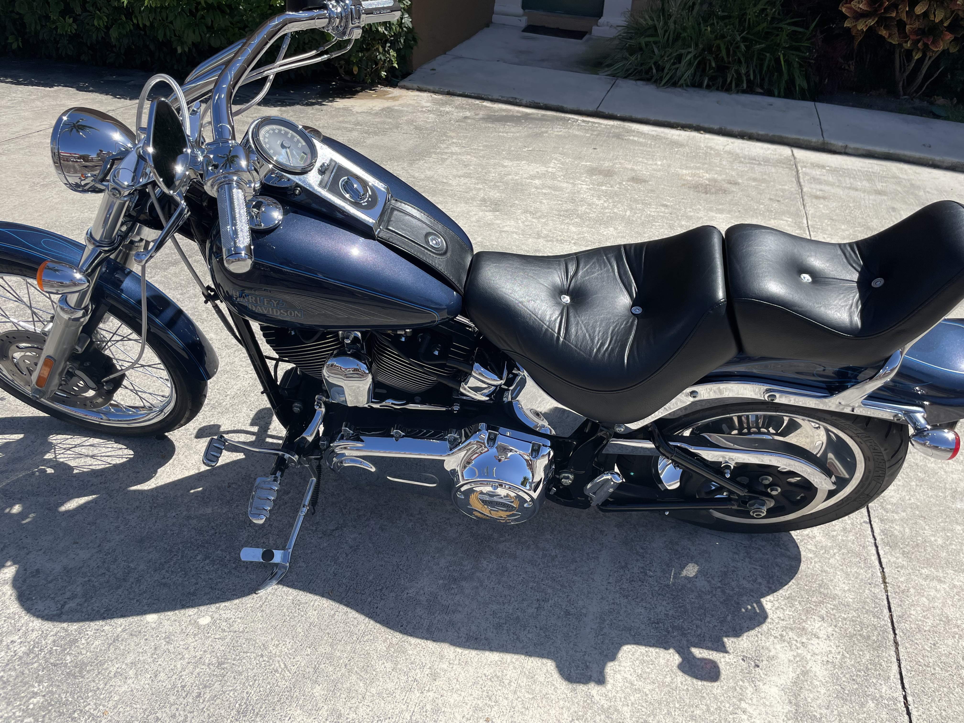 2008 Harley-Davidson® FXSTC Softail® Custom for Sale in Aventura, FL ...