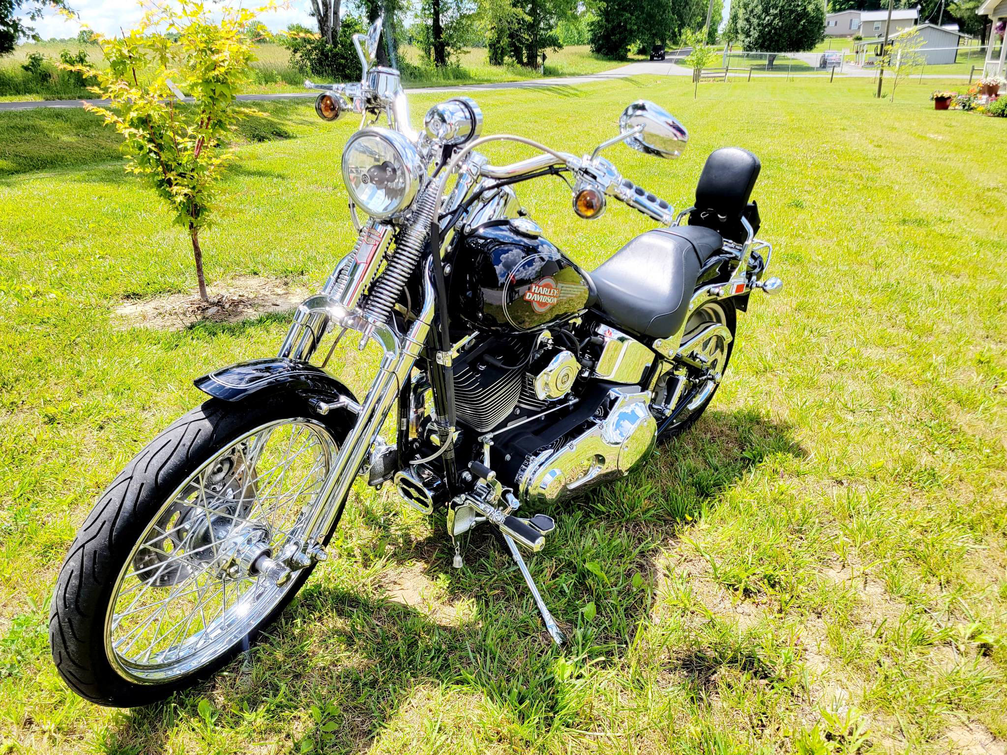 2006 Harley-Davidson® FXSTS/I Springer® Softail® for Sale in Columbia ...