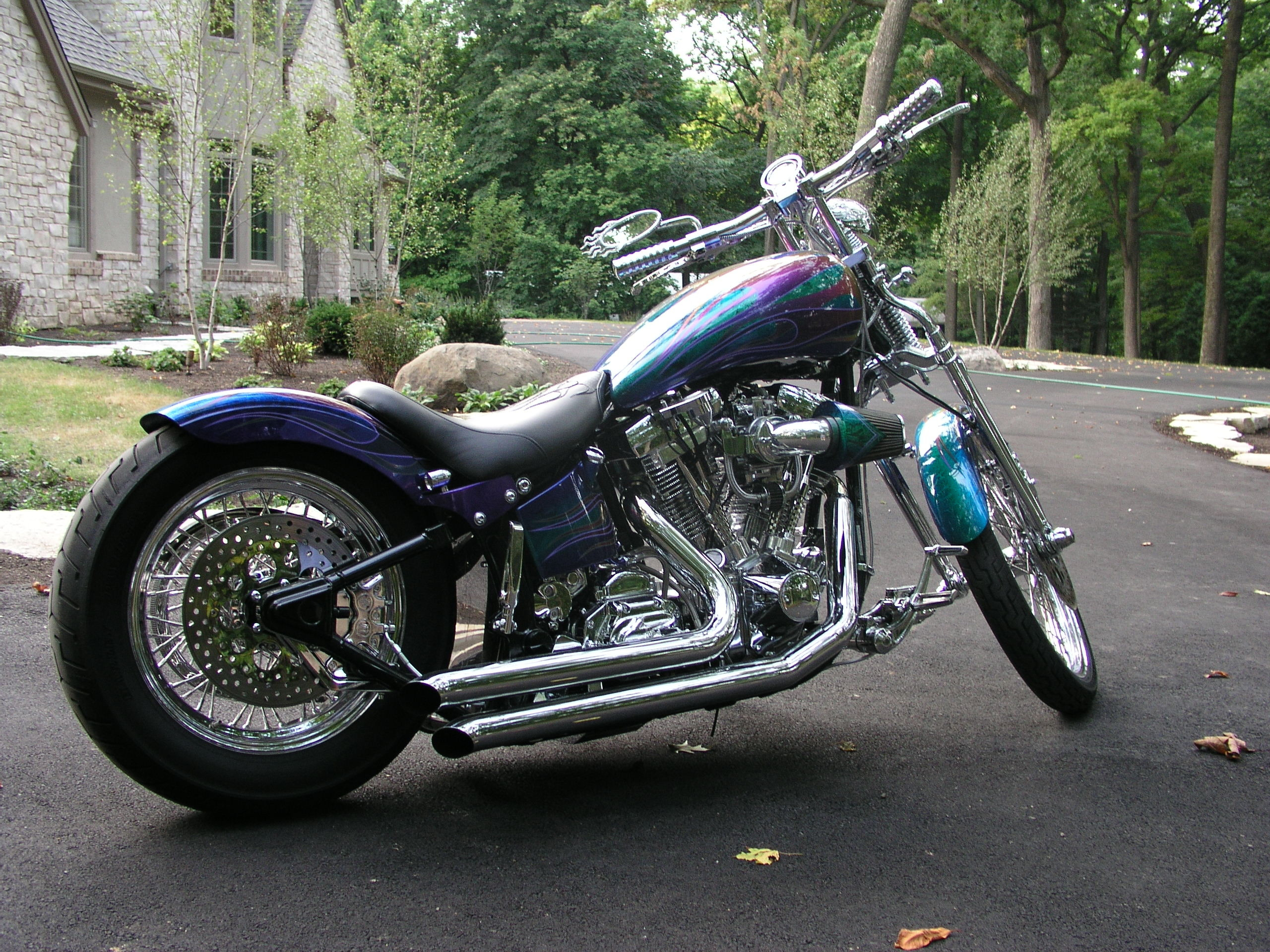 1998 Harley-Davidson® FXSTS Springer® Softail® for Sale in Menomonee ...