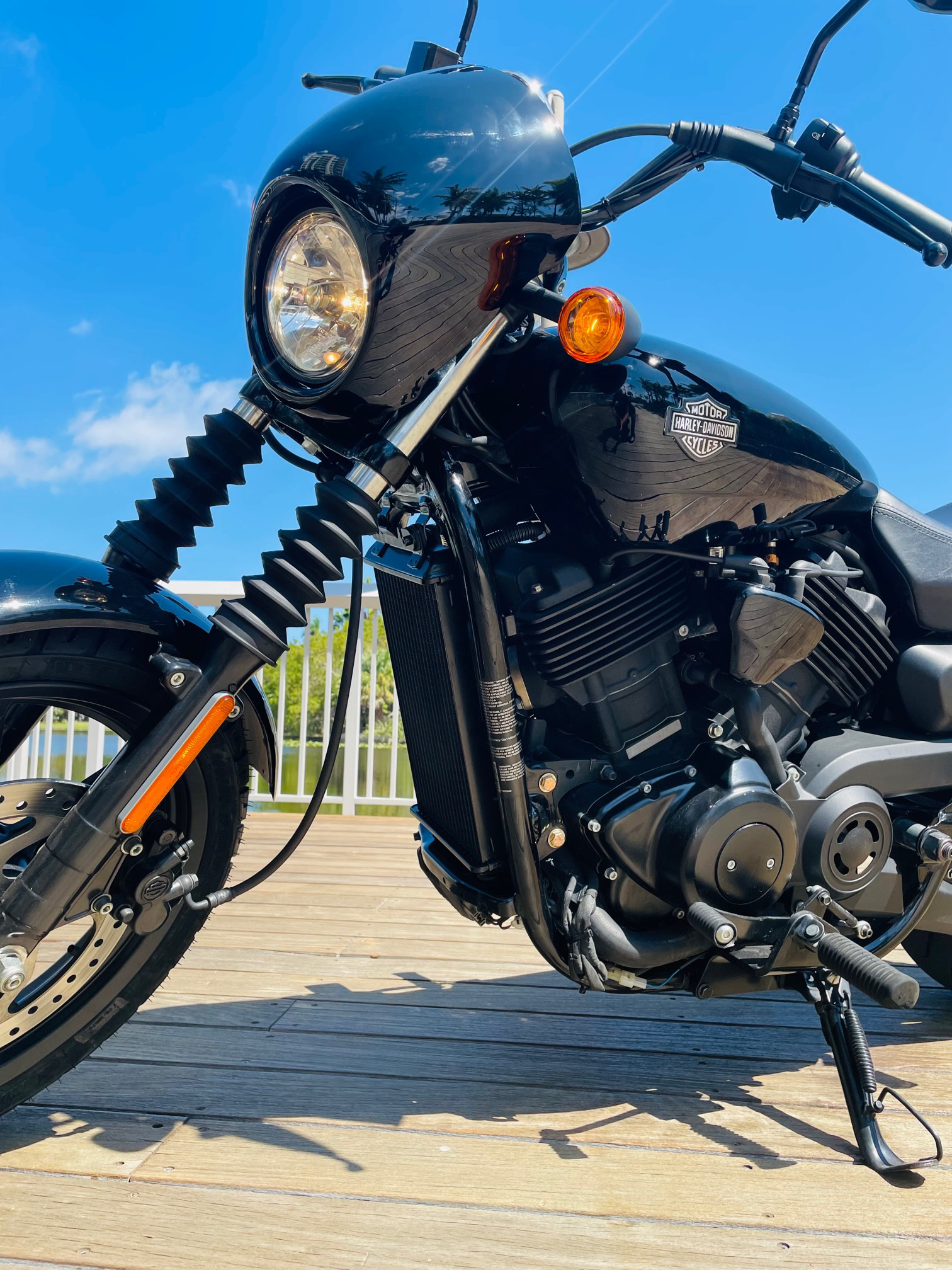 2020 Harley-Davidson® XG500 Street® 500 for Sale in Boynton Beach, FL ...