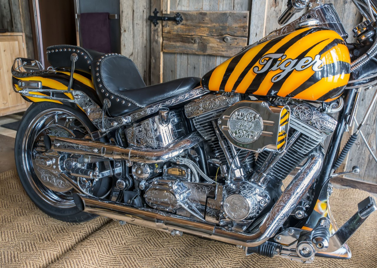 1987 Harley-Davidson® FXSTC Softail® Custom for Sale in Hampton Falls ...