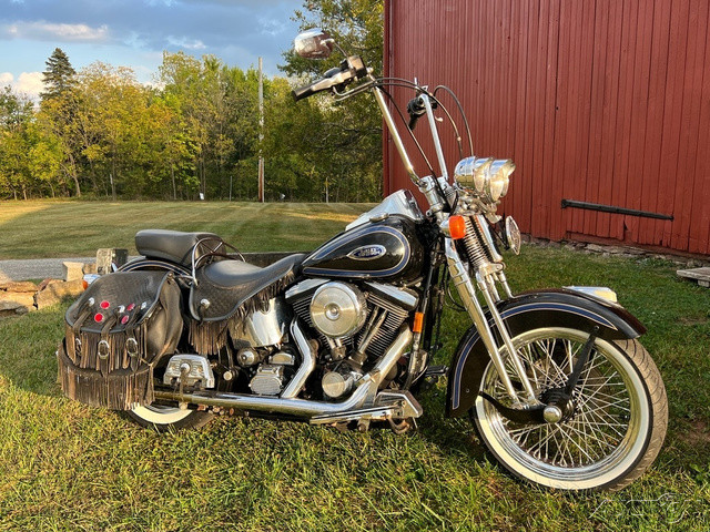 1998 Harley-Davidson® FXSTS Springer® Softail® for Sale in Zieglerville ...