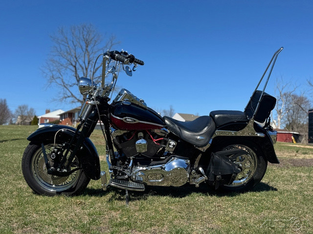 2005 Harley-Davidson® FLSTSC/I Softail® Springer® Classic for Sale in ...