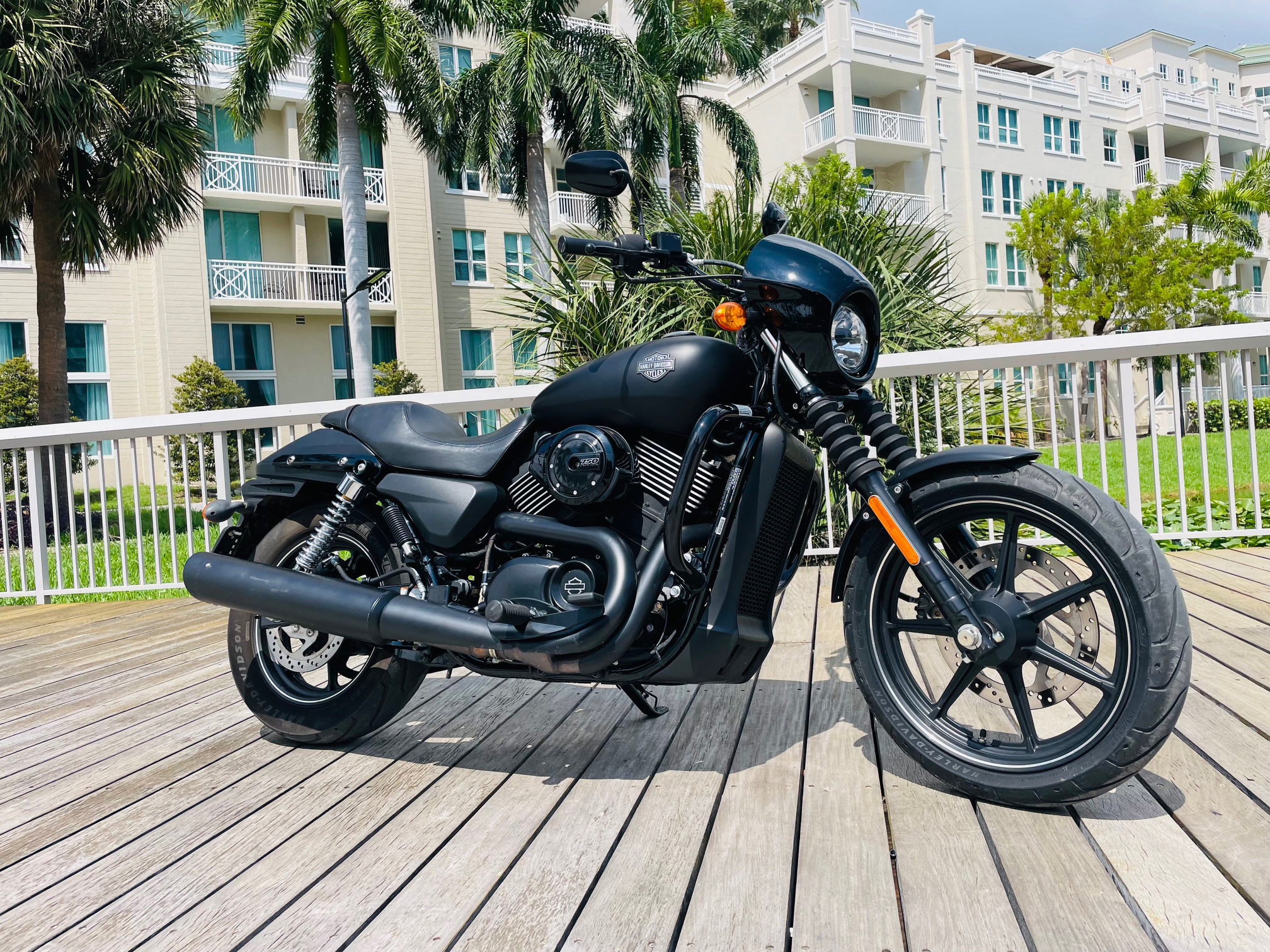 Harley Street 750 For Sale
