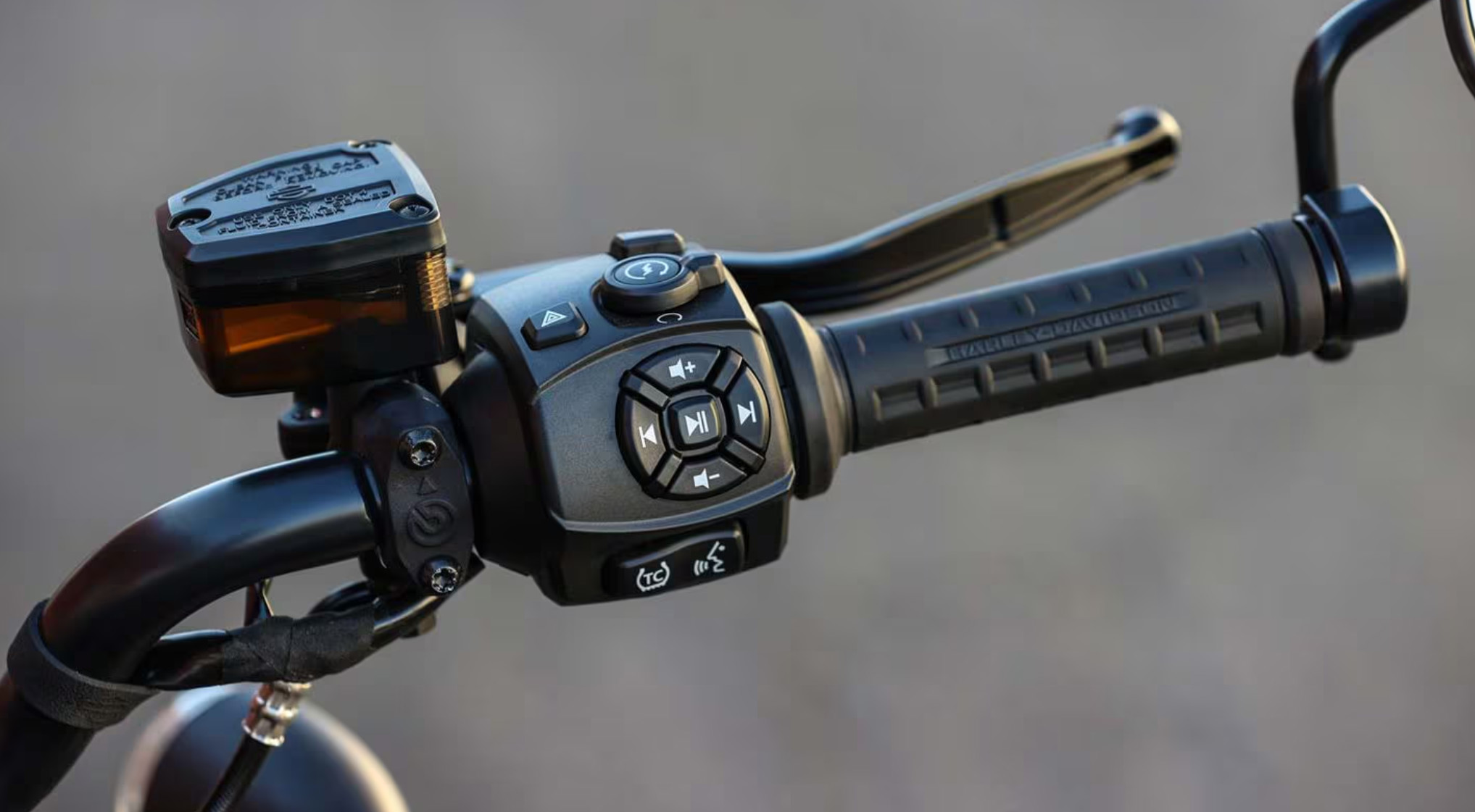 2022 Harley-Davidson® RH1250S Sportster® S for Sale in Lakewood, CO ...